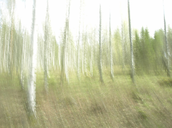 KUUKAUDEN MIELIKUVAT